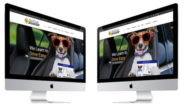 DriCub - Driving School WordPress Theme - SmartDataSoft