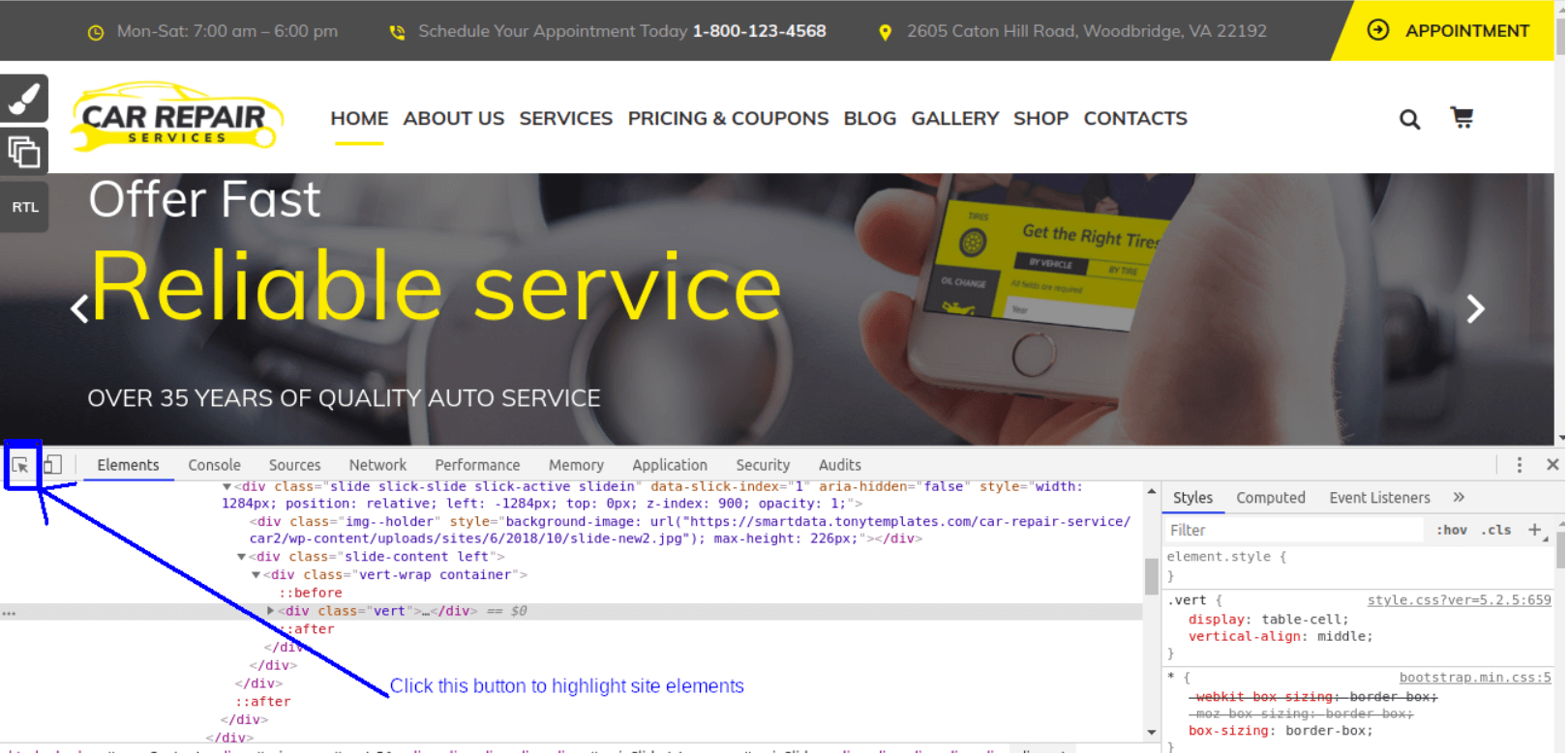 How to modify element styles of your theme - SmartDataSoft