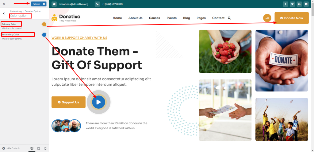 Color options - SmartDataSoft